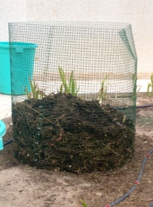 Chicken wire composting – plantnmore