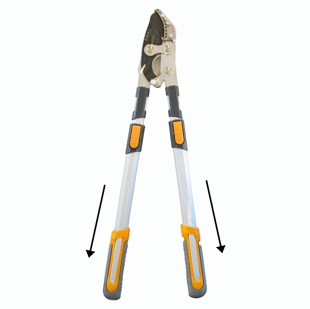 Extendable Branch Cutter – plantnmore