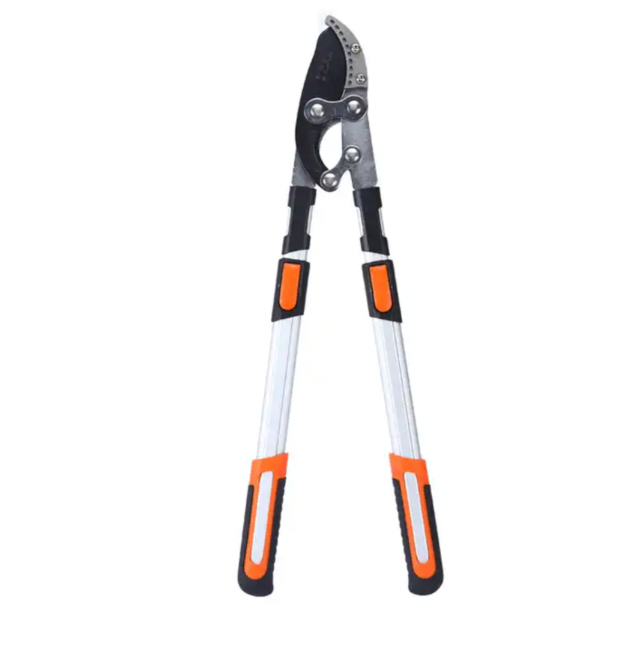 Extendable Branch Cutter – plantnmore