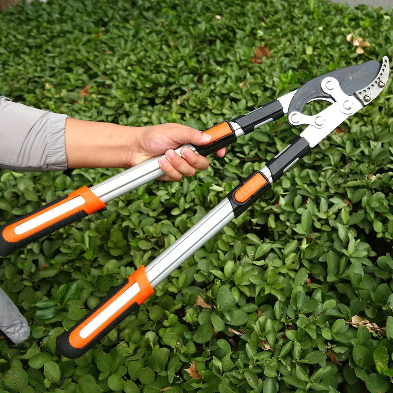 Extendable Branch Cutter – plantnmore
