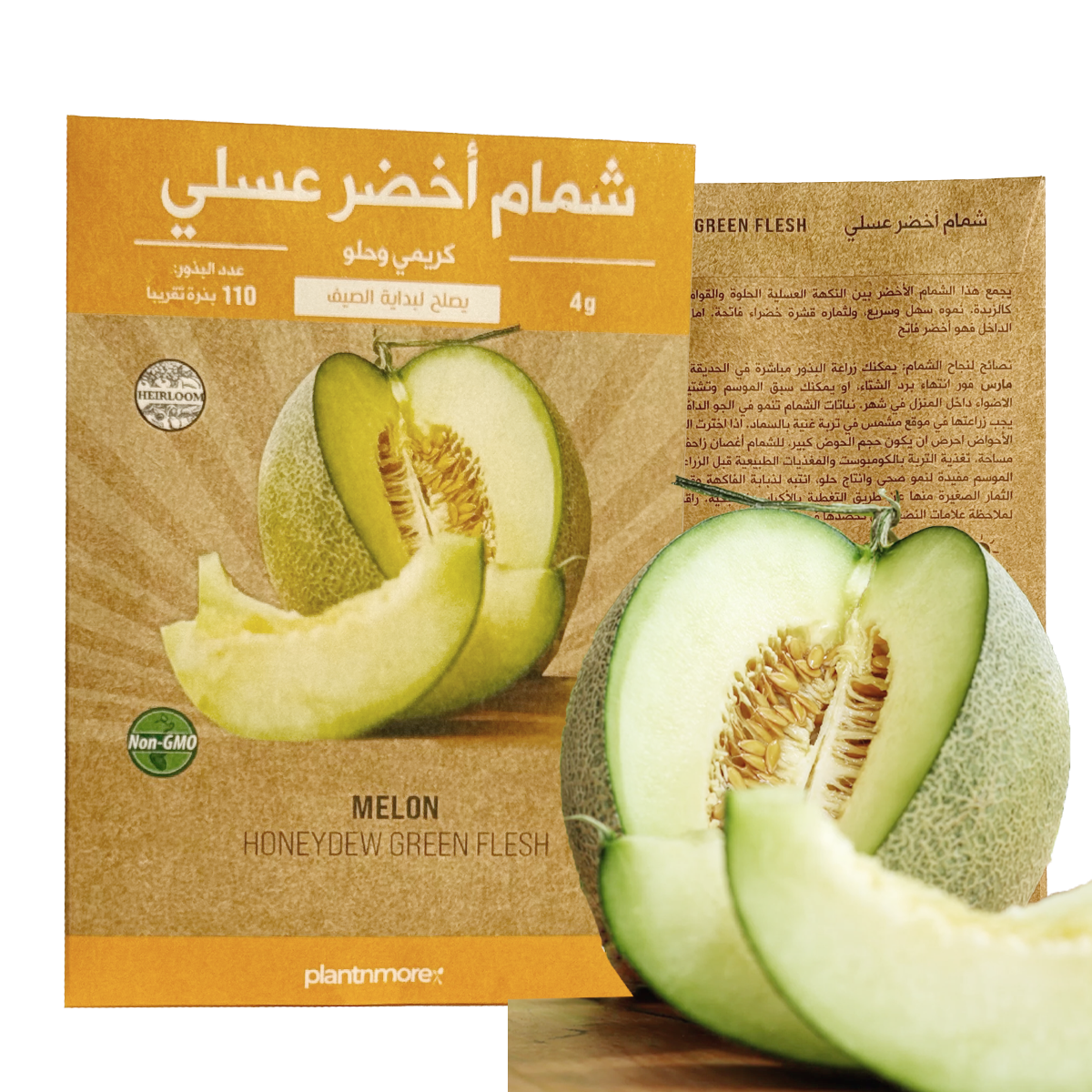 Melon Honeydew Green Flesh – plantnmore