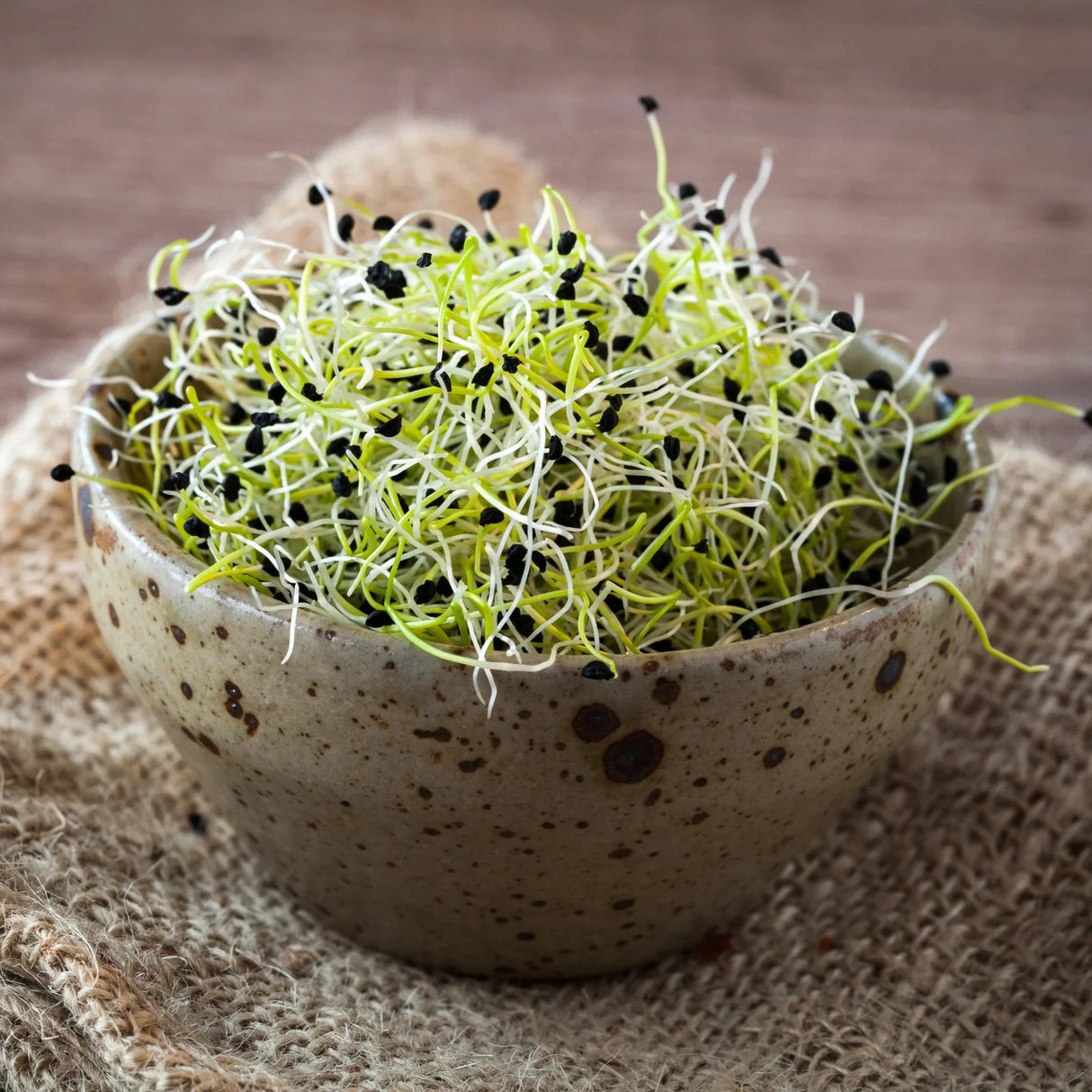 Onion White Sweet Spanish Microgreens 1oz – plantnmore