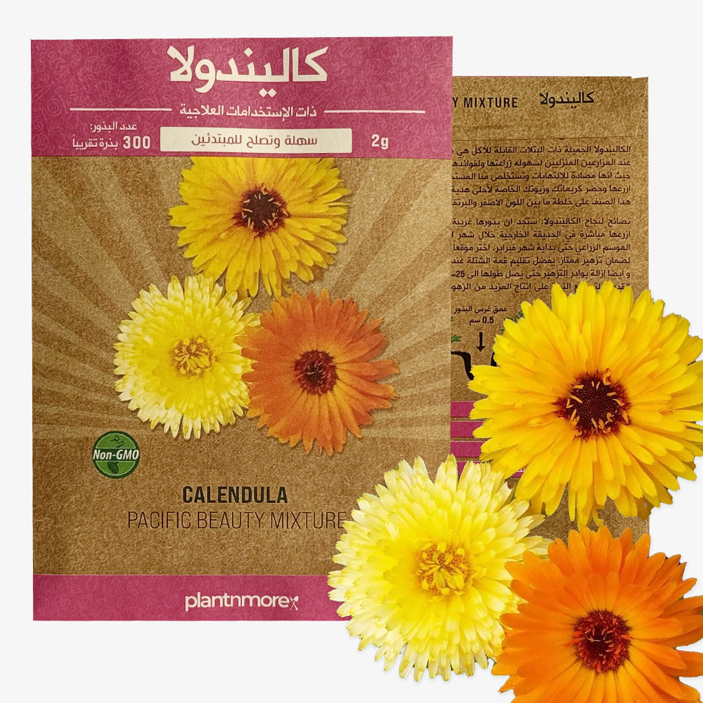 Calendula Pacific Beauty Mixture – plantnmore