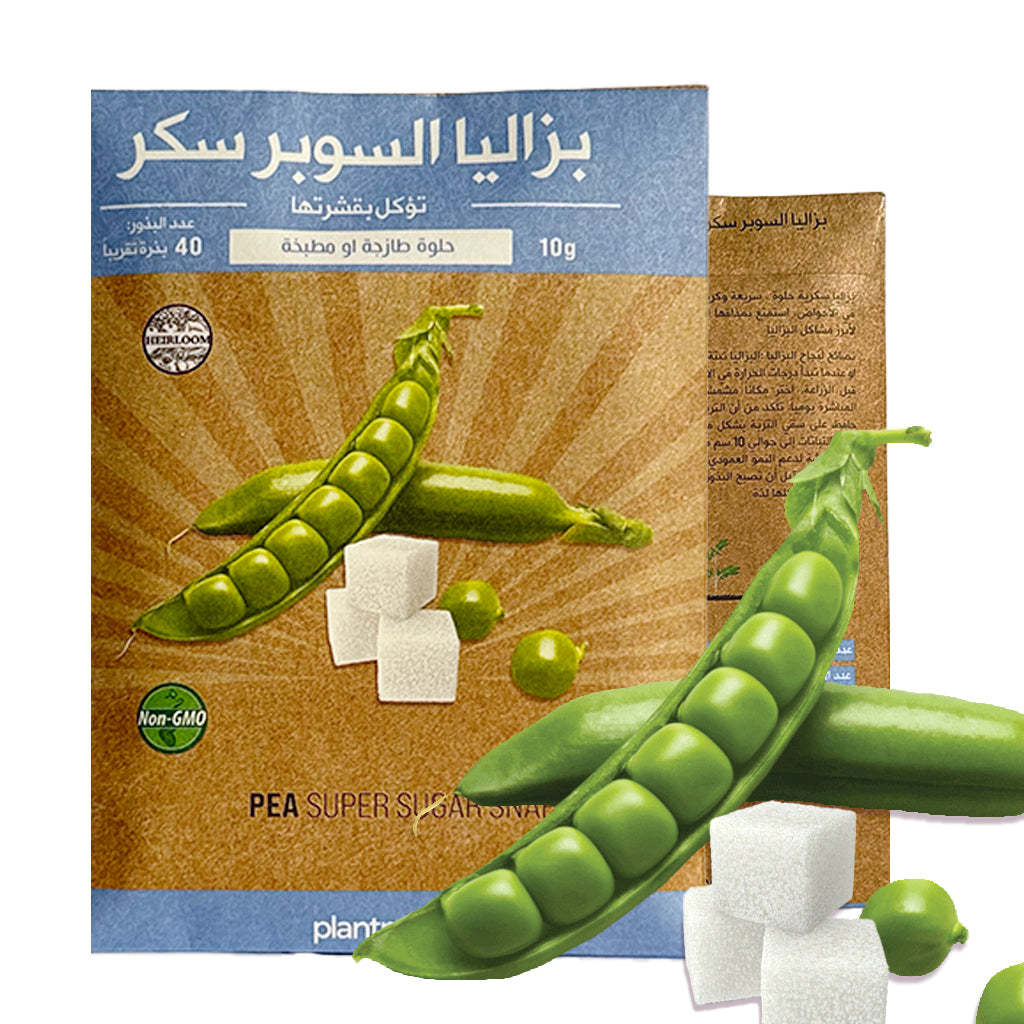 Pea Super Sugar Snap – plantnmore