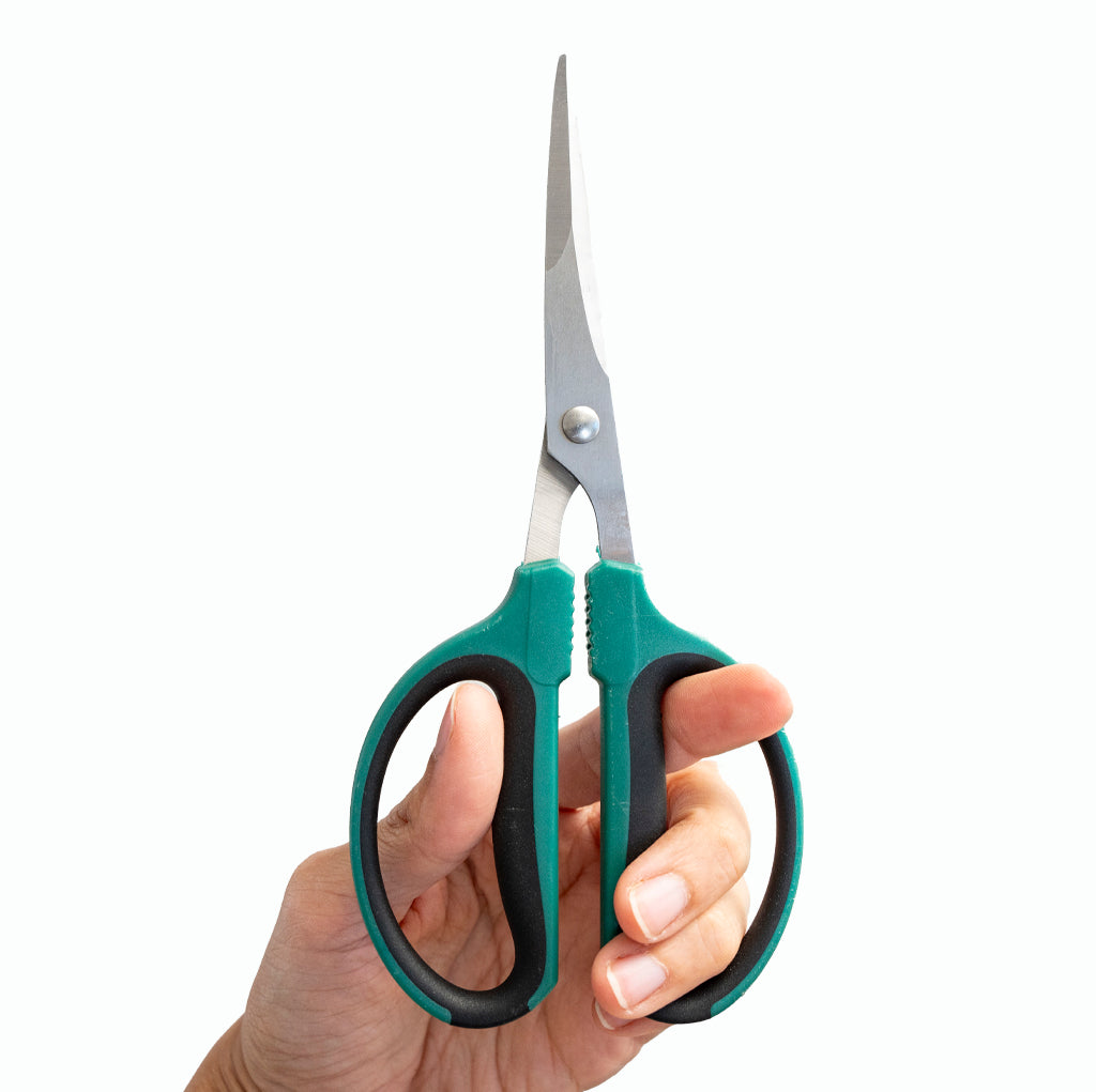 Precision Scissors – plantnmore