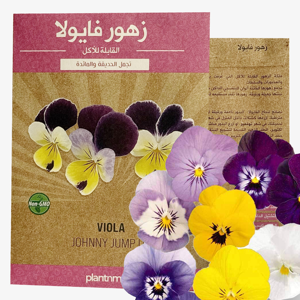 Viola Johnny Jump Up – plantnmore