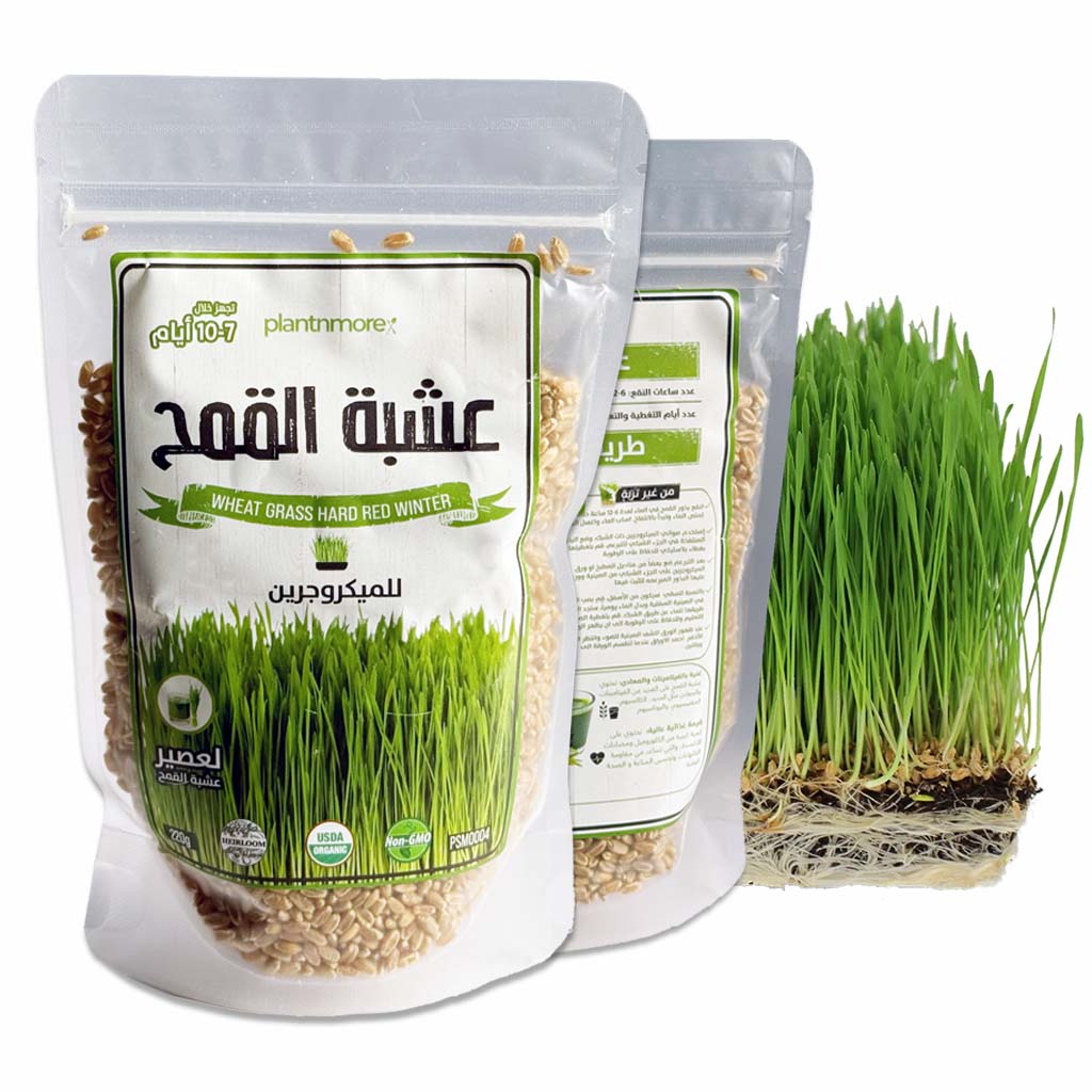 Wheat Grass Hard Red Winter Seeds 220g – plantnmore